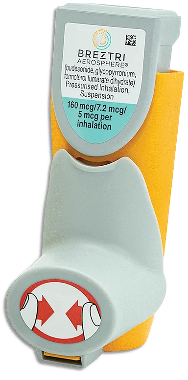 Wheezy Puff Inhaler Guide