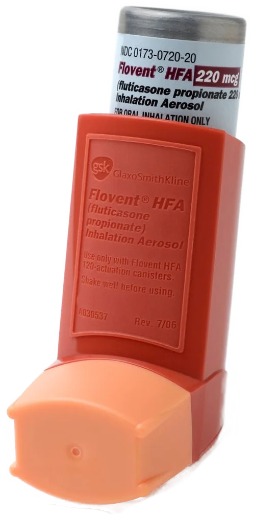 Wheezy Puff Inhaler Guide