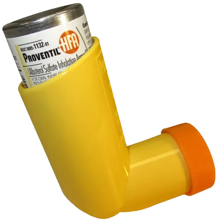 Wheezy Puff Inhaler Guide