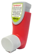 Wheezy Puff Inhaler Guide